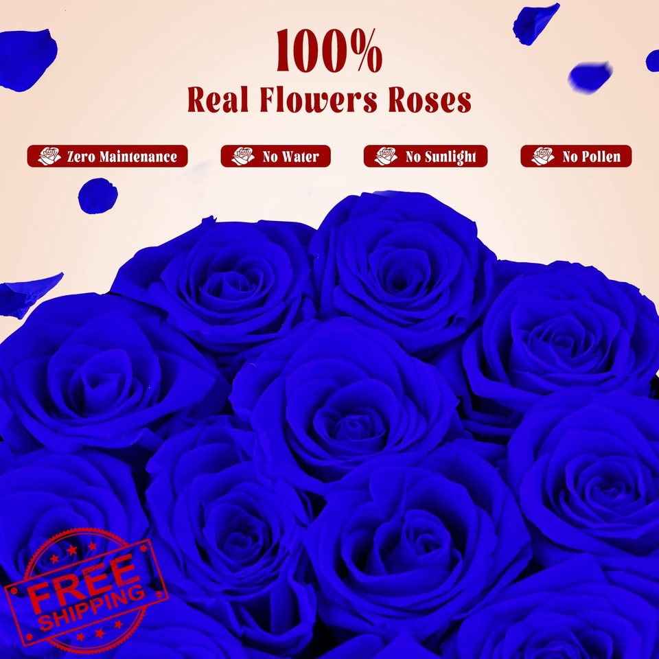 Blue Preserved Real Rose Box, Lasts 3 Years, Valentine Gift | eBay UK