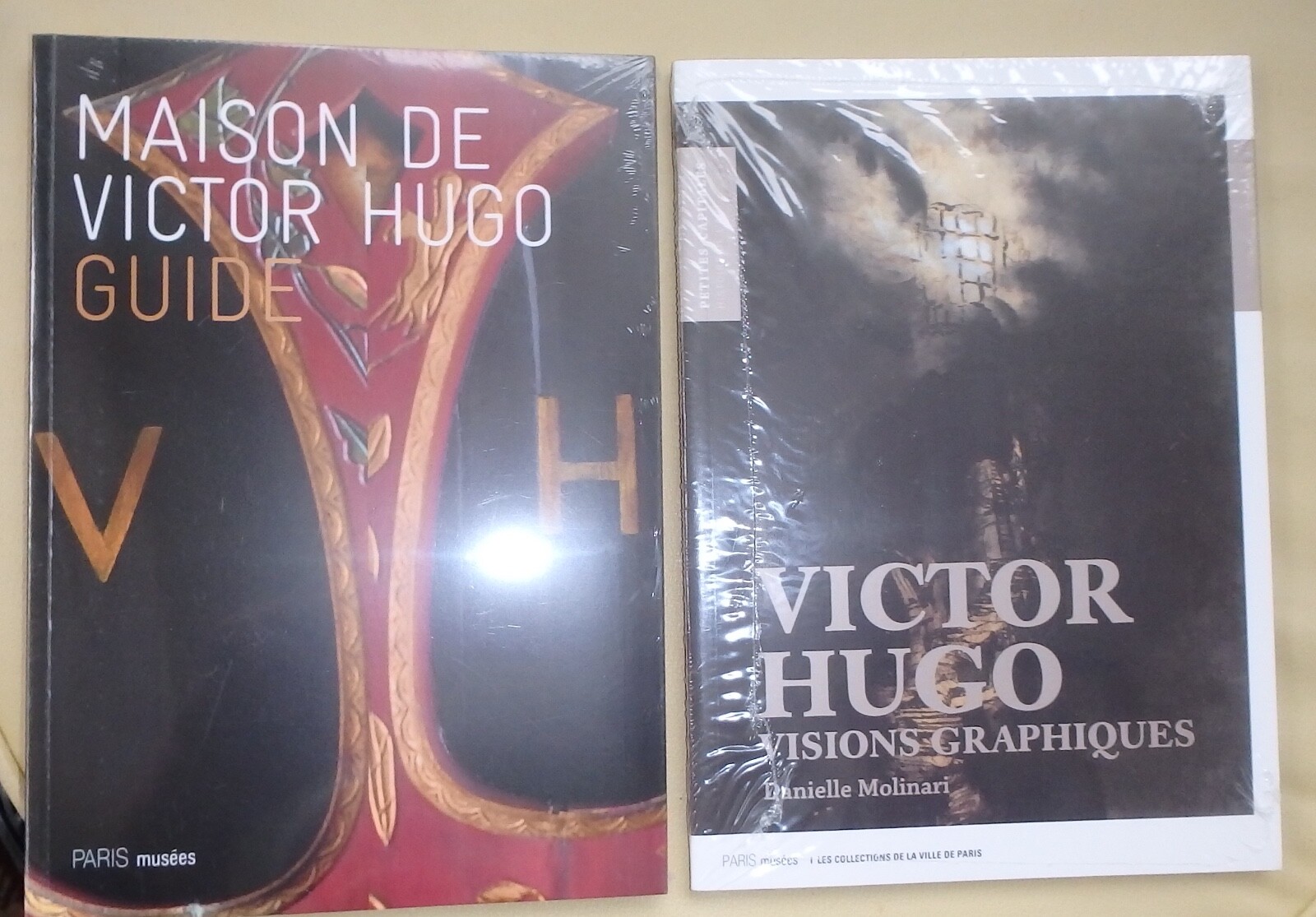 Maison de Victor Hugo Guide+Victor Hugo Visions Graphiques 2 NEW sealed ...