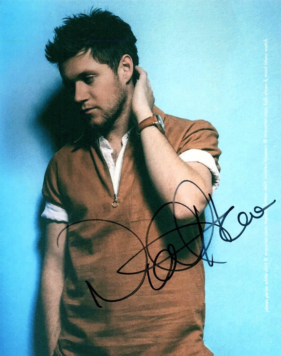Niall Horan Signature Look