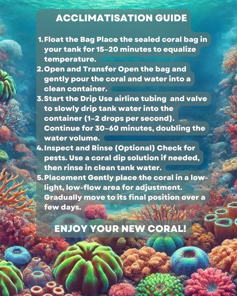 Yellow-green polyp Finger Leather Coral Frag - Not Lps/SPS - Soft Coral ...