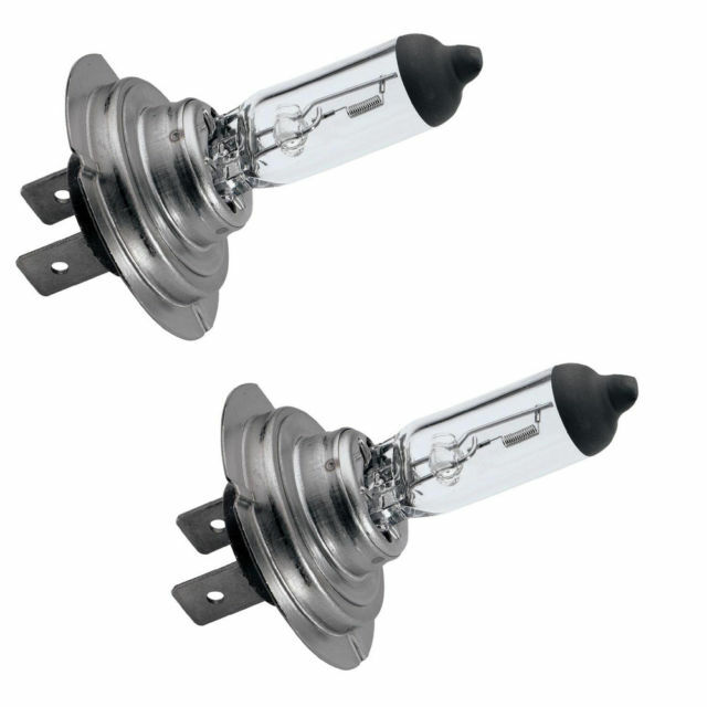 Eurolec H7 12V 55W Halogen Bulb - EU499 for sale online | eBay