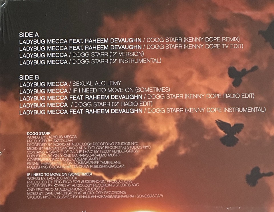 Ladybug Mecca (Digable Planets) "Dogg Starr" 12-Inch Single Rare ...