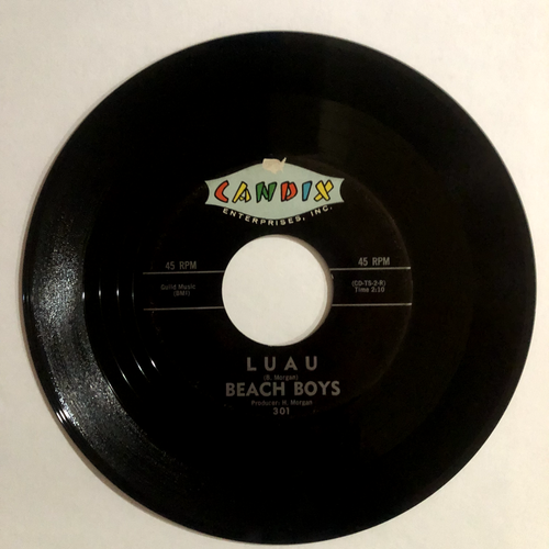 The Beach Boys 45 - Surfin / Luau - Candix NO ERA DISTRIBUTION VG+ | eBay