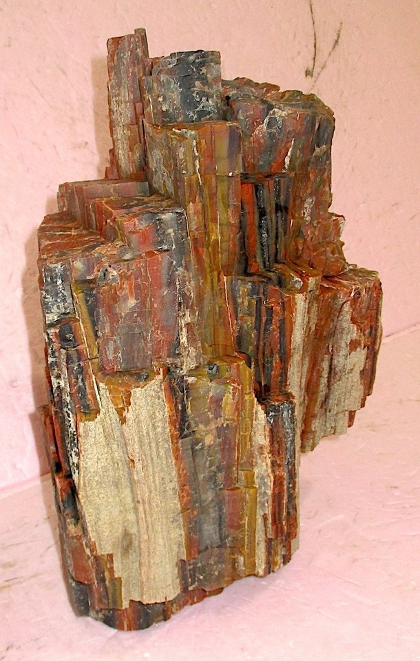 PETRIFIED WOOD Tree Trunk Fossil 17 lb Magnificent RAINBOW Coloration ...