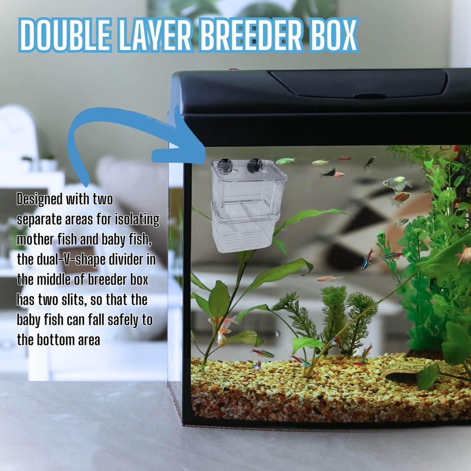 Aquarium Fish Breeding Box Live Bearer Fry Tank Hatchery Baby Trap ...