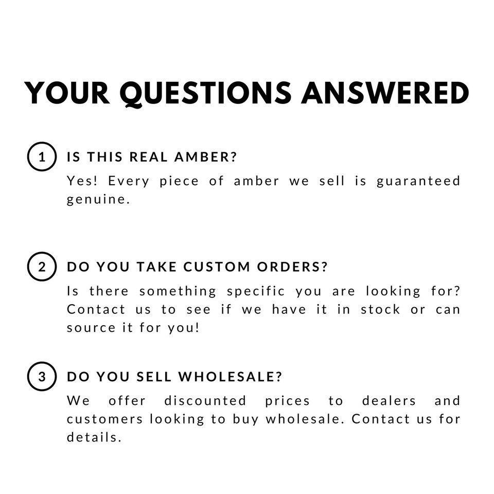 RARE Zoraptera (Angel Insect), Fossil Insect inclusion in Burmese Amber ...