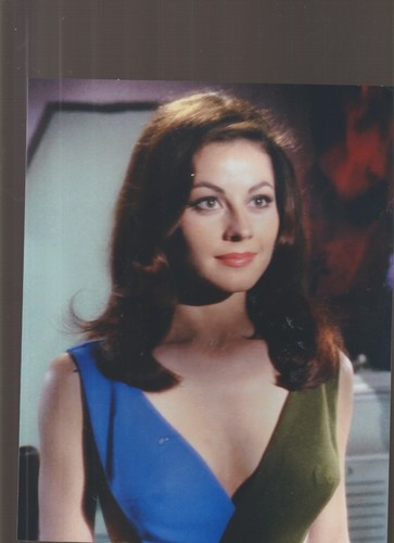 8X10-COLOR PHOTO OF-CLOSE UP- SEXY- SHERRY JACKSON | eBay
