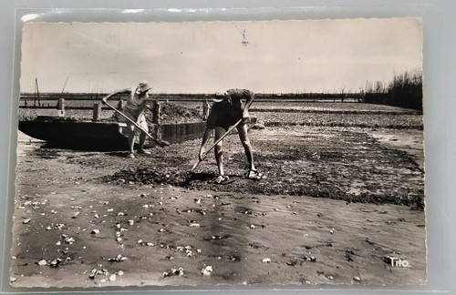 CPSM / 33 / LE BASSIN D ARCACHON / PARQUEUR D HUITRES | eBay