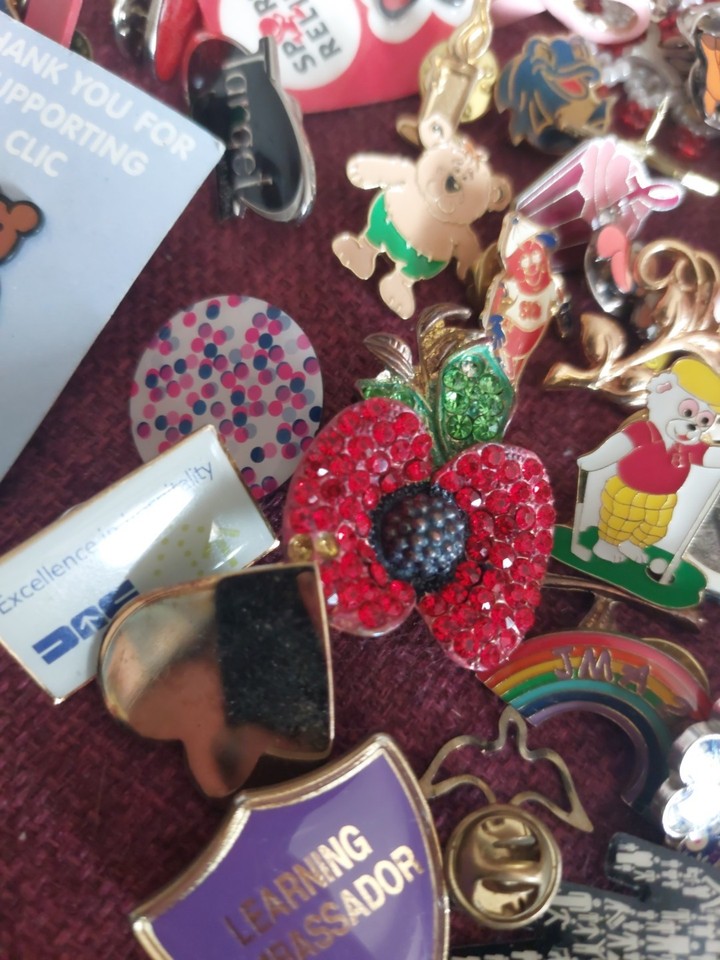 Assorted Enamel Vintage Pin Badges, Charity, Carded,job Lot | eBay UK