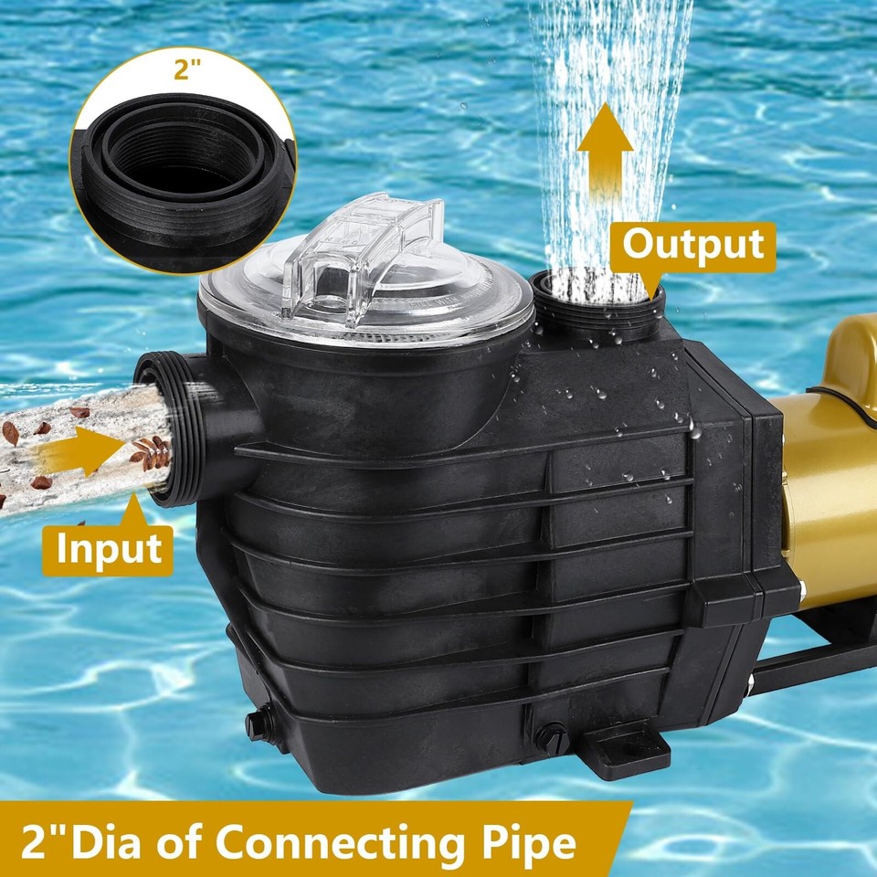 3HP Swimming Pool Pump Dual Speed In/Above Ground Water Pump 115V/230V ...
