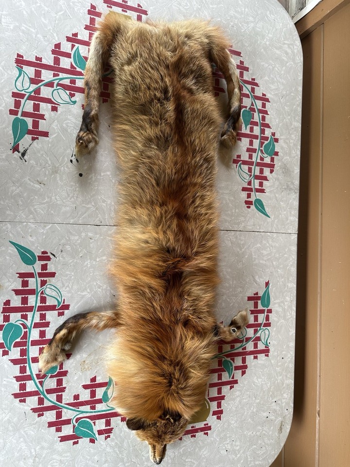 Vintage Tanned Red Fox Stole | eBay