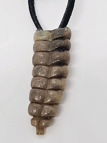 Vintage Southwestern Real Rattlesnake Snake Rattle Tail Keychain Key ...