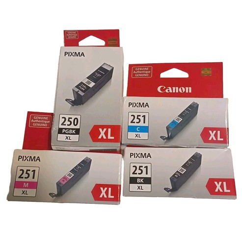 Lot Of Canon 250 XL PGBK Black & 251 XL Color C M BK Ink Cartridges ...