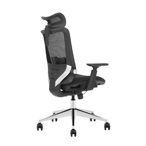 NEW Abeeha Ergonomic Office Chair Desk with Adjustable Lumbar Support ...