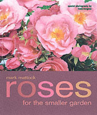 Roses for the Smaller Garden, Mark Mattock, Paper 9781903845998 | eBay