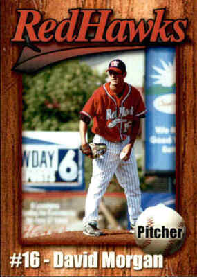 2008 Fargo-Moorhead RedHawks Team Issue 17 David Morgan Kelso ...