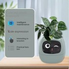 Home Garden Planter Creative Interactive Mini Smart Garden Indoor Smart ...