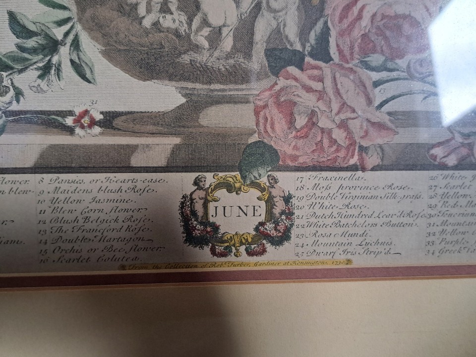 June" from The Twelve Months of Flowers series, originally published by ...