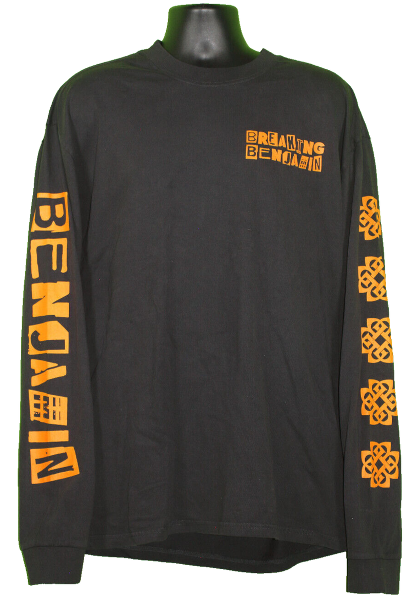 Breaking Benjamin Angels Fall