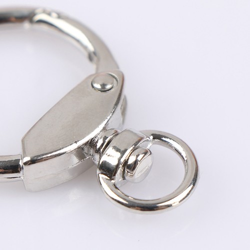 5Pcs Metal Clamp Carabiner Spring Style Rotating Keychains Lobster Lock ...
