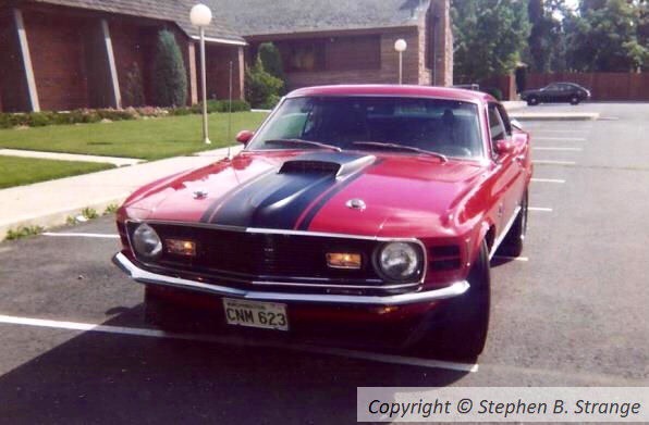 1969-1970 Shelby GT-350/500 Mustang Fastback Factory Roll Bar