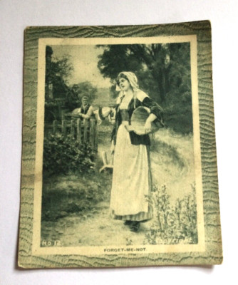 SUFFRAGETTE WSPU VOTES FOR WOMEN NOW PROTEST POST CARD - EDWARDIAN ...
