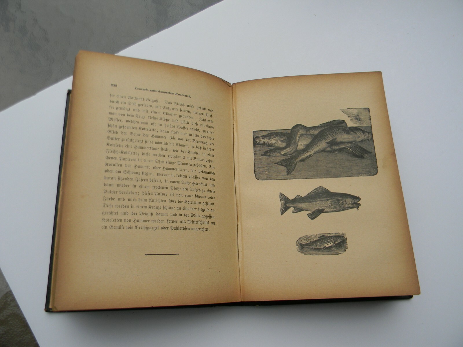 Rare 1892 Deutsche Amerikanische Kochbuch Illustrated German Cookbook ...