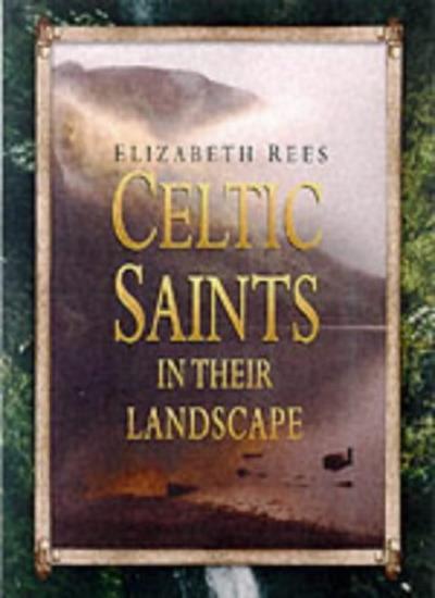 Celtic Saints in their Landscape By Elizabeth Rees 9780750926867| eBay