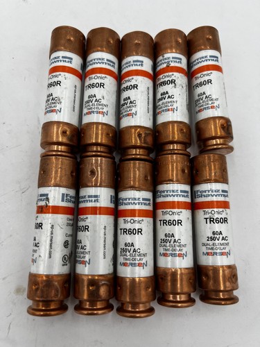 10 Pack Mersen-Ferraz Shawmut TR60R RK5 60A 250VAC Dual Element Time ...