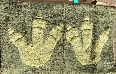 Pillowfort Dinosaur Feet Bath Rug | eBay