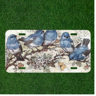 Custom Personalized License Plate Auto Tag With Amazing Blue Birds On ...