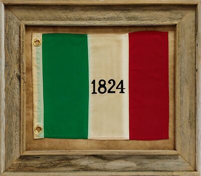 Barnwood 1824 Alamo Flag with Grommets | Framed Historic Texas Flag | eBay