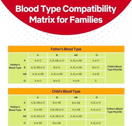 Eldoncard INC Blood Type Test (Complete KIT) - Find Out if You are A, B ...