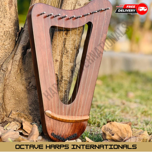 10 String Triangle Lyre Harp Handmade Rosewood Exquistic Harp with Bag ...