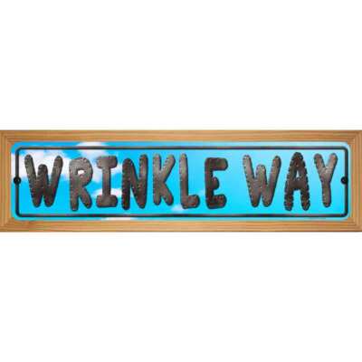 Wrinkle Way Novelty Wood Mounted Metal Small Street Sign WB-K-416 | eBay
