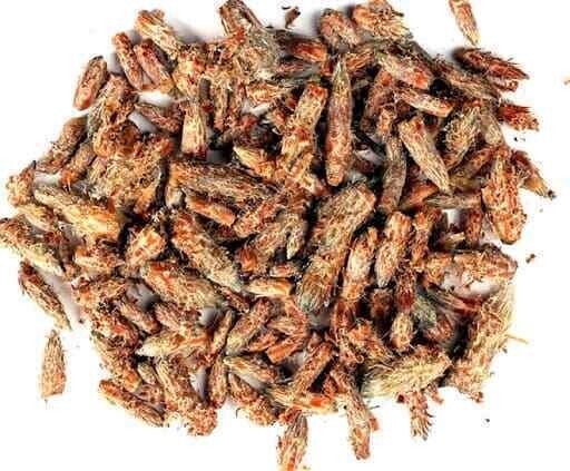 2pcs Pine Buds Natural Herbal Tea Organic Anti-inflammatory Throat ...