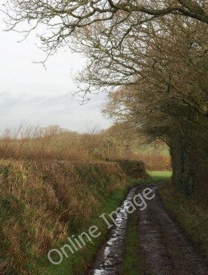 Photo 6x4 Track to Nethercott Spreyton Spreyton Footpath 2 further ...