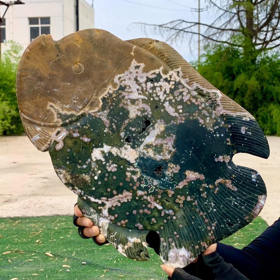 5.29LB Amazing natural marine jasper crystal carving fish jasper aura ...