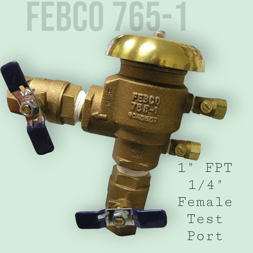 FEBCO 765-1 1" Pressure Vacuum Breaker - 1 in FPT Irrigation Backflow ...
