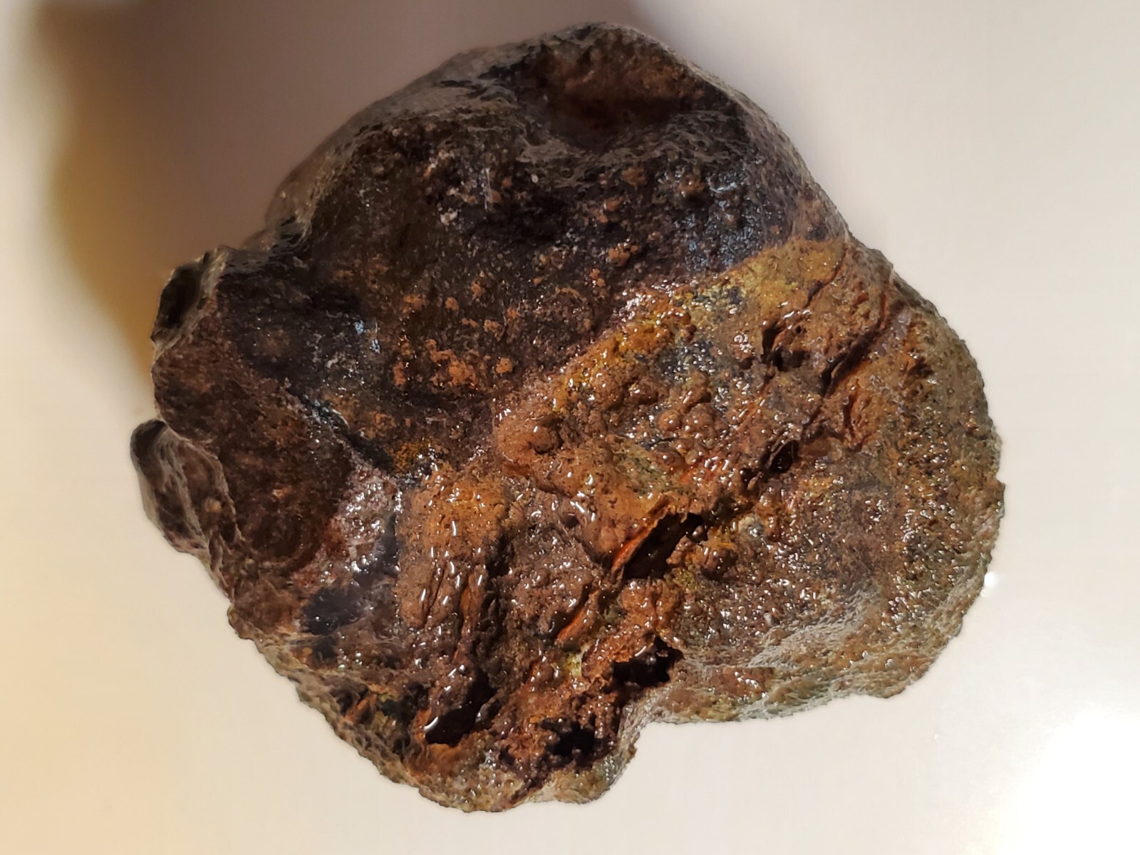 Banded Fortification Laguna Agate Rough Whole Nodule Mexico 421g | eBay