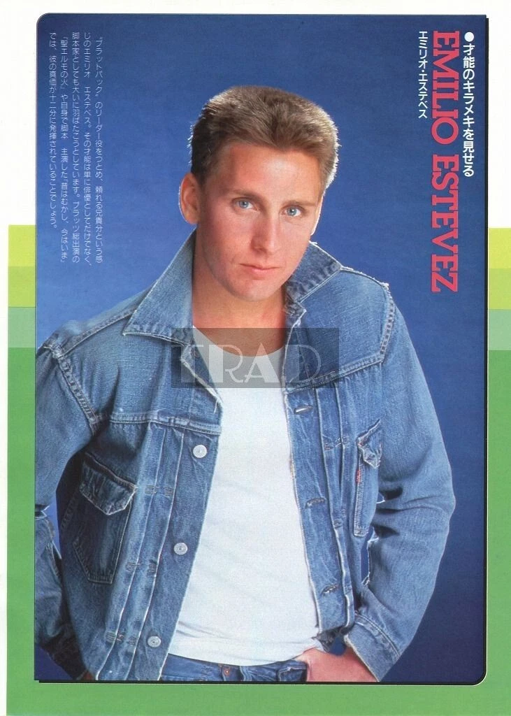 Emilio Estevez The Outsiders