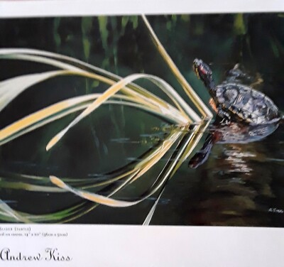 Andrew Kiss "SLIDER (TURTLE) " Wildlife,Art Print-9x7.5 | eBay