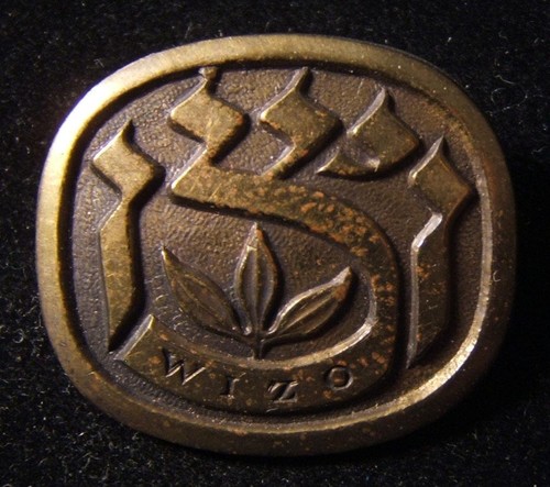 Vintage brass Womens WIZO pin, made in Israel | eBay