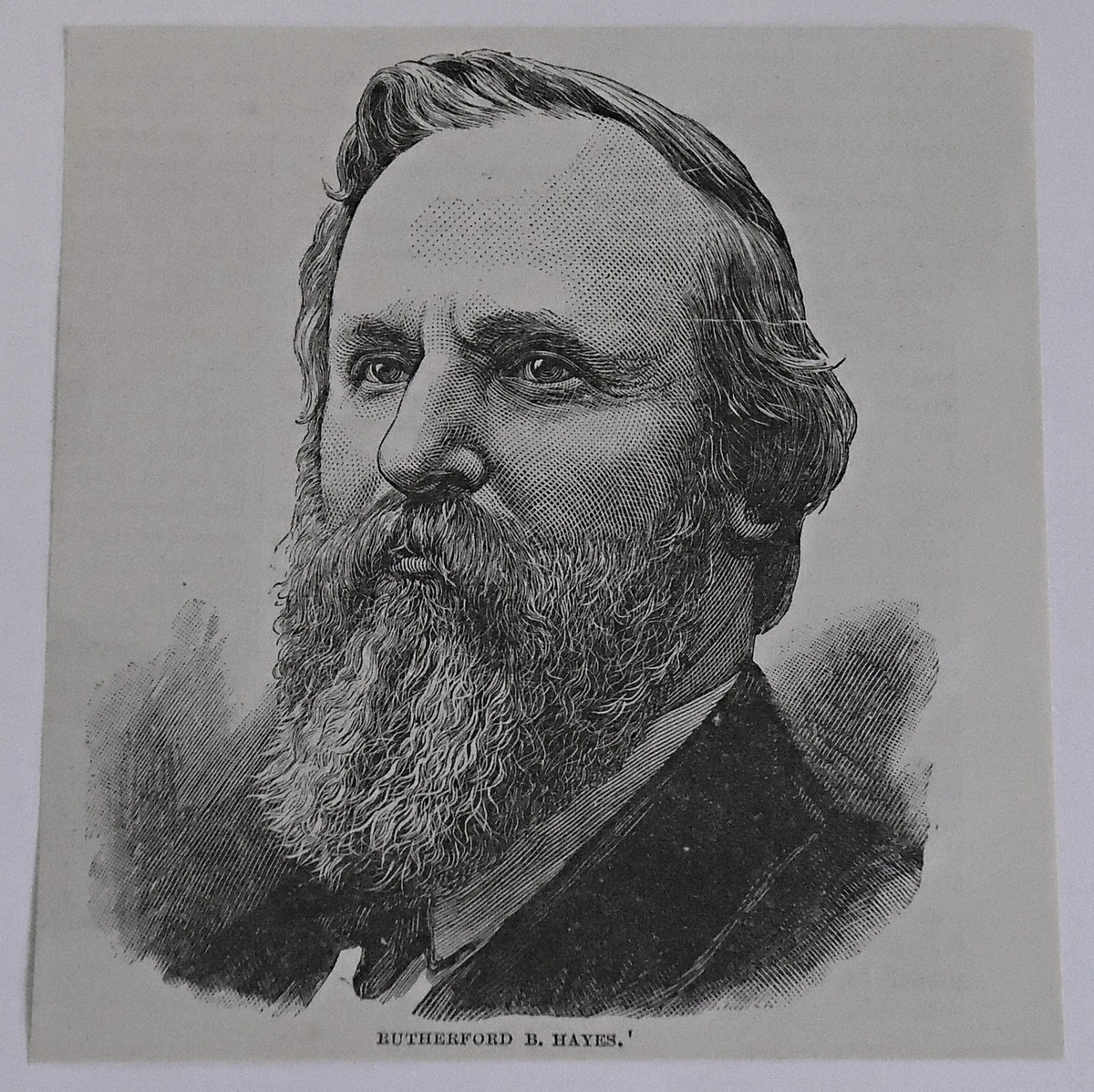 Rutherford B Hayes Cartoon