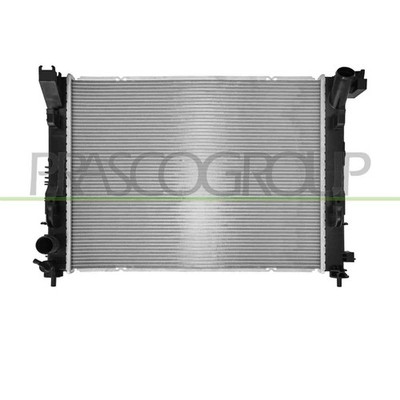 Radiatore Dacia Sandero Dal 2020 214105Fa0A DS016R001 | eBay