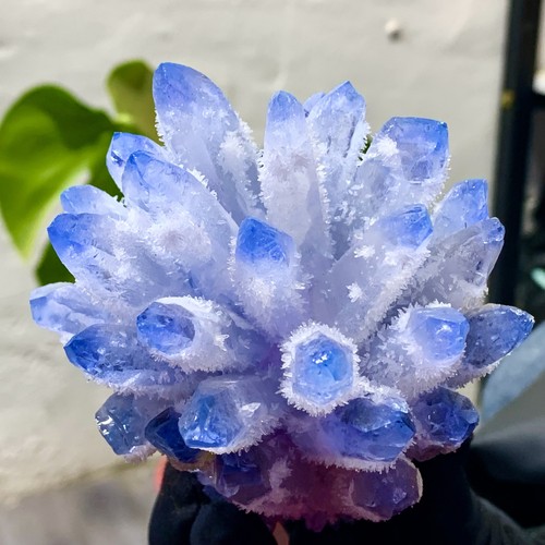 385G New Find sky BLUE Phantom Quartz Crystal Cluster Mineral Specimen ...