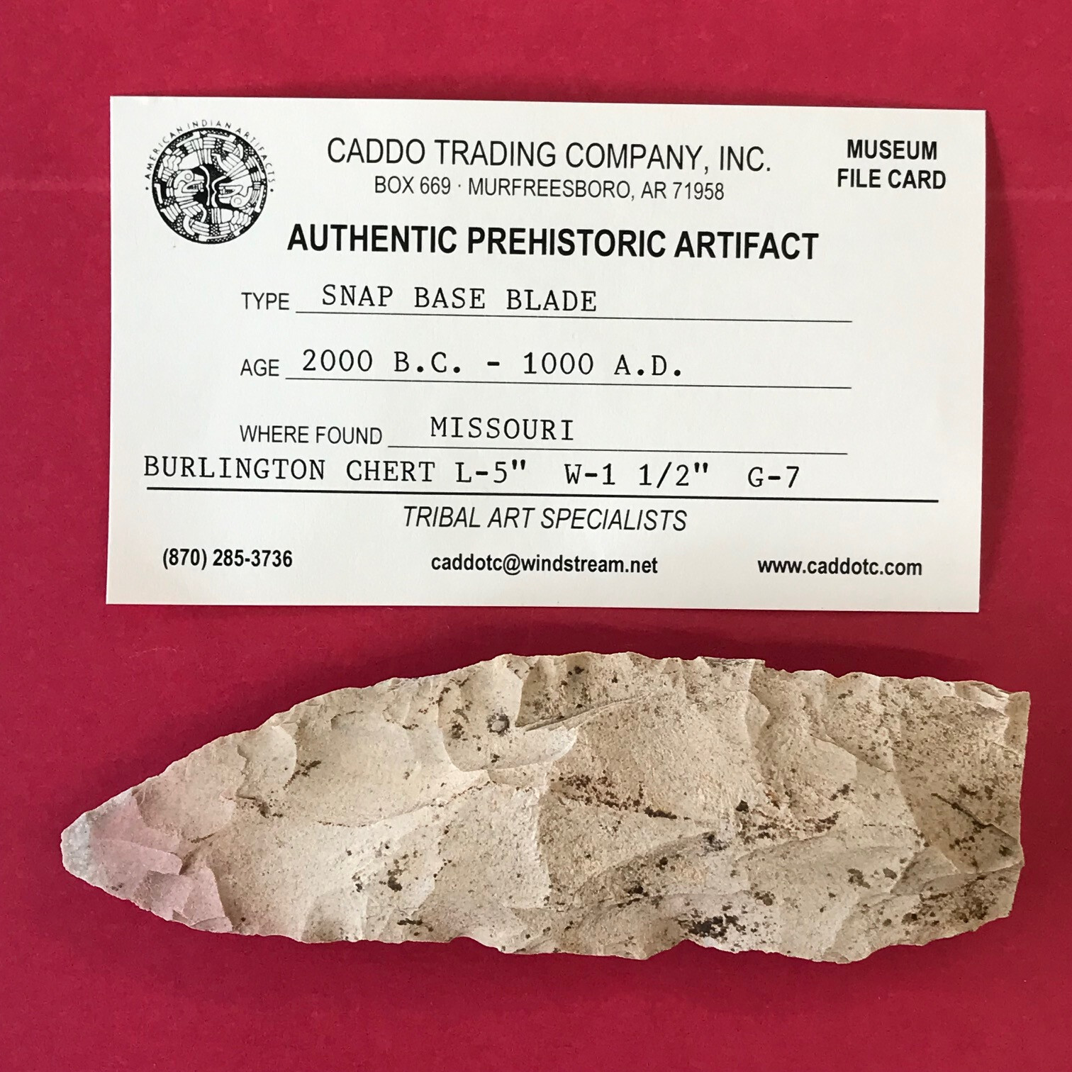 6874 Snap Base Blade Authentic Arrowhead Artifact Native American ...