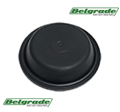 179.DT24 Diaphragm Type 24 Replaces 234100 E8892 BD24 (Pack of 10) | eBay