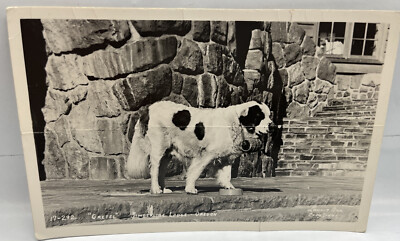 OREGON TIMBERLINE LODGE Gretel Dog Laurie Ann Creations RPPC 17-292 ...