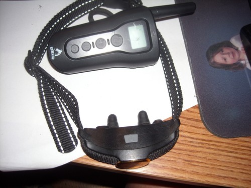 Used Patpet Dog Training P Collar 320 Beep, Vibration, Shock With ...